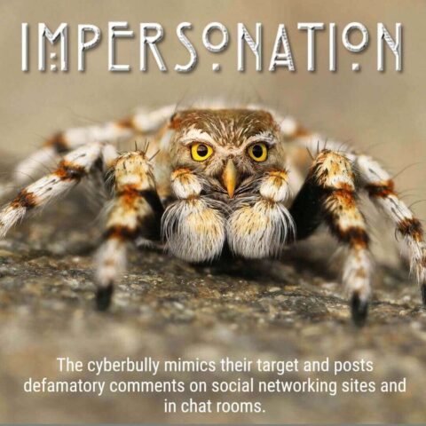 Examples of Cyberbullying Images - iPredator